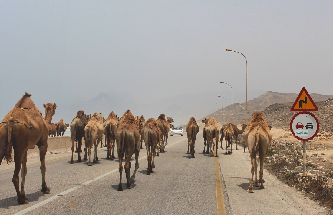 Oman Rundreise mit dem Mietwagen - So geht's