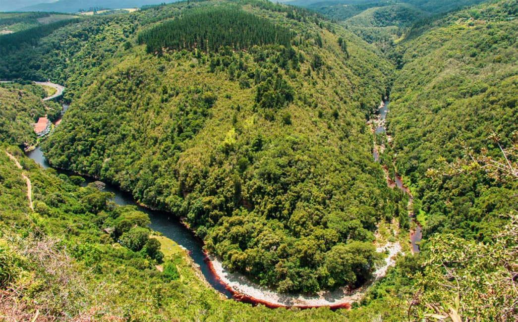 Tipps für Wilderness in Südafrika: Highlights & empfohlene Aktivitäten