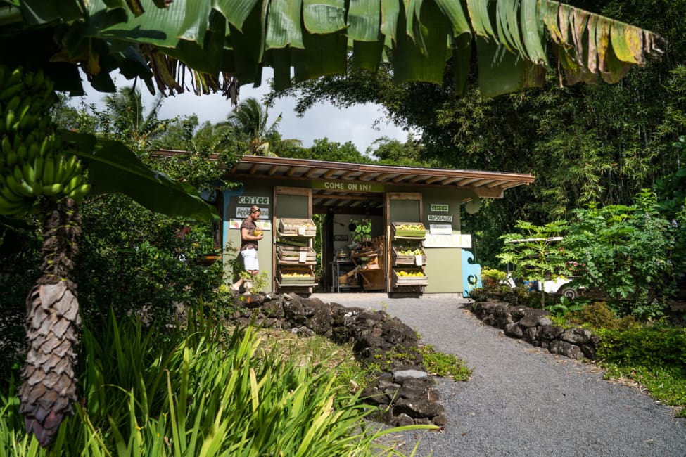 Maui, Hawaii: Road to Hana – 15 Stops, die du einplanen solltest ...