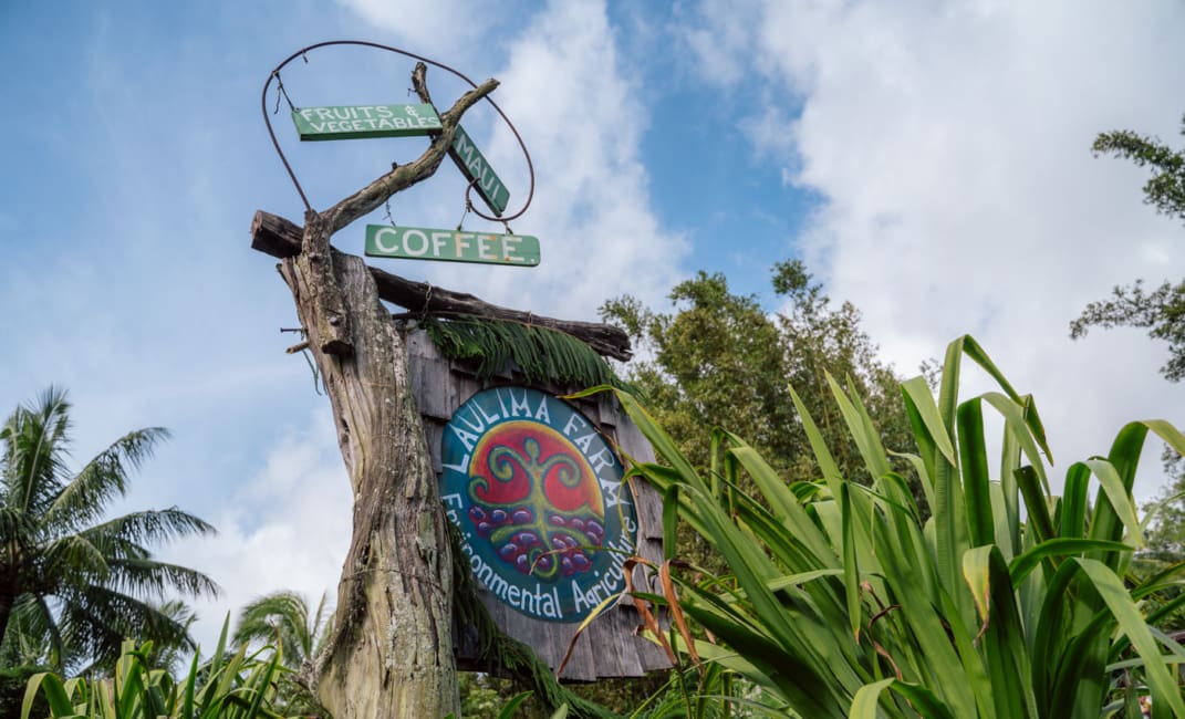 Maui, Hawaii: Road to Hana – 15 Stops, die du einplanen solltest ...