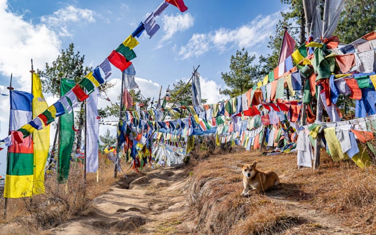 Reisetrends 2025: Unsere Top 15 der schönsten Reieziele