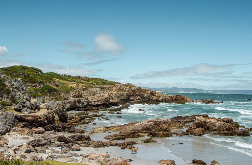Hermanus Südafrika: Unsere persönlichen Tipps + Highlights