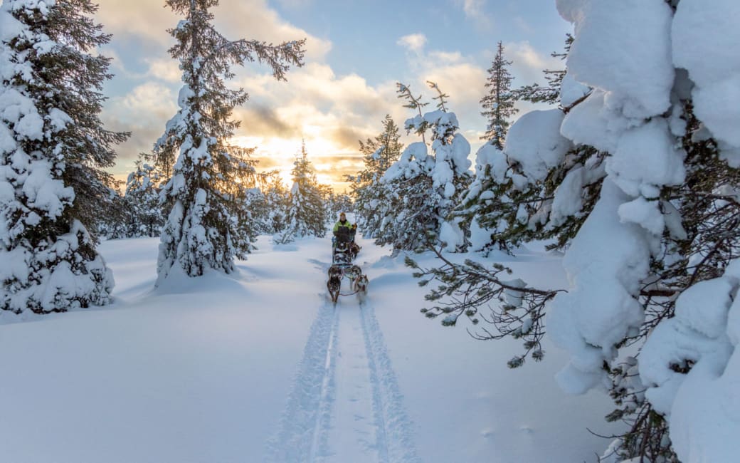 Reisetrends 2025: Unsere Top 15 der schönsten Reieziele