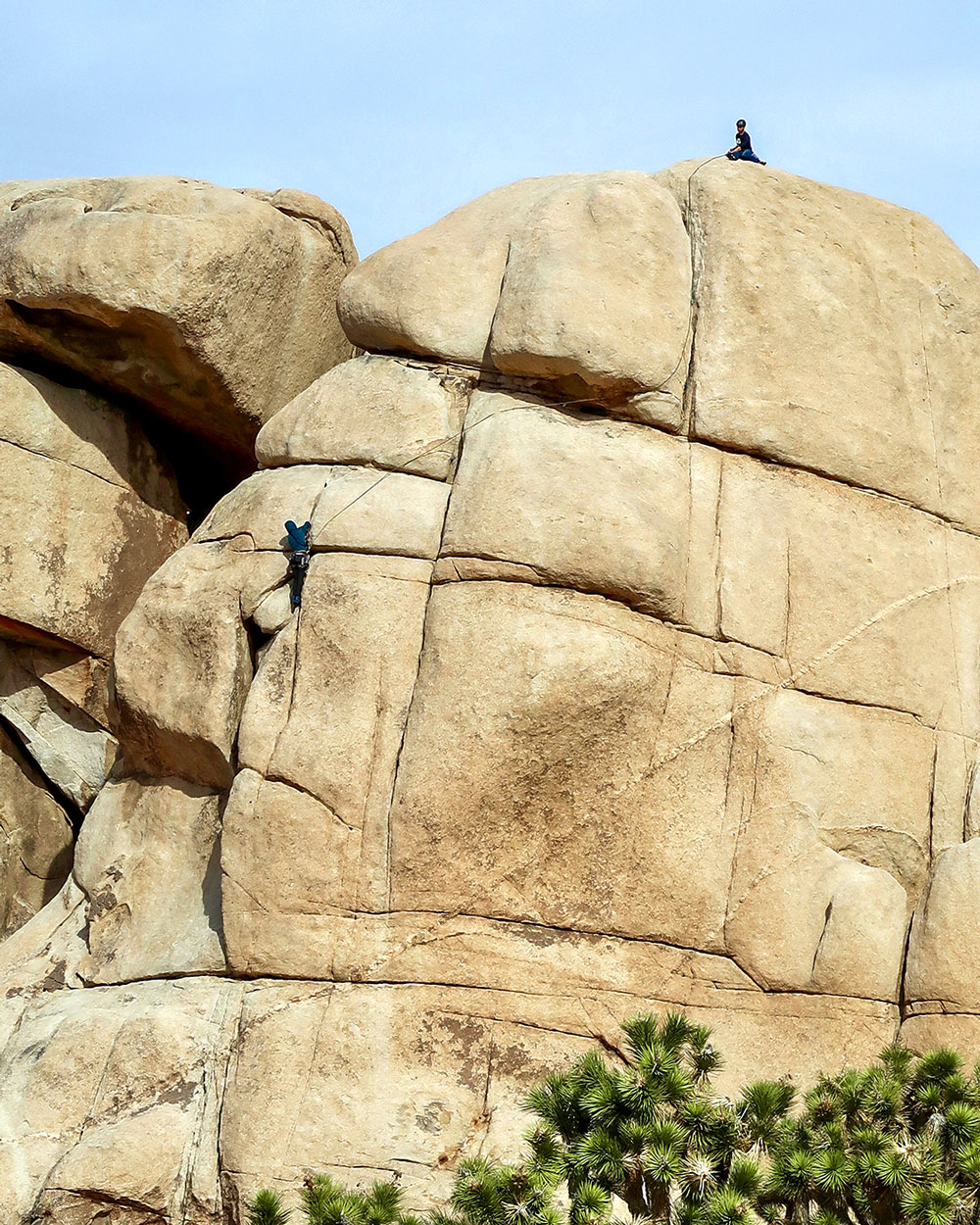 Joshua Tree National Park in Kalifornien: 5 Highlights und viele Tipps ...