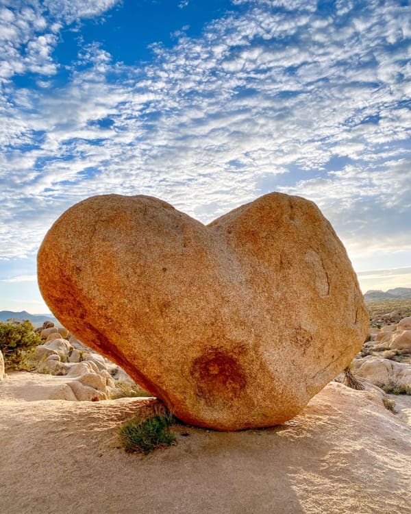 Joshua Tree National Park in Kalifornien: 5 Highlights und viele Tipps ...