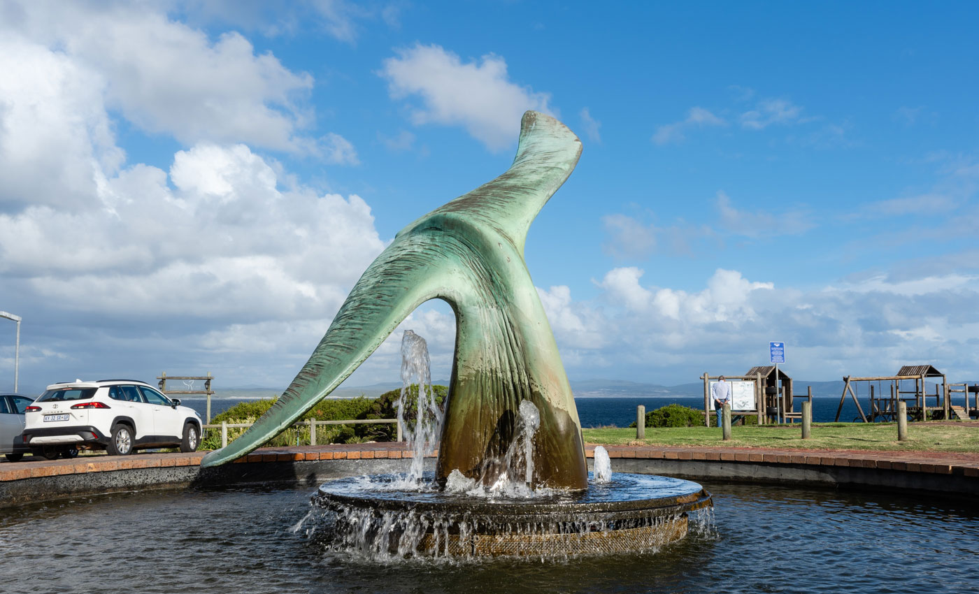 Hermanus Südafrika: Unsere persönlichen Tipps + Highlights