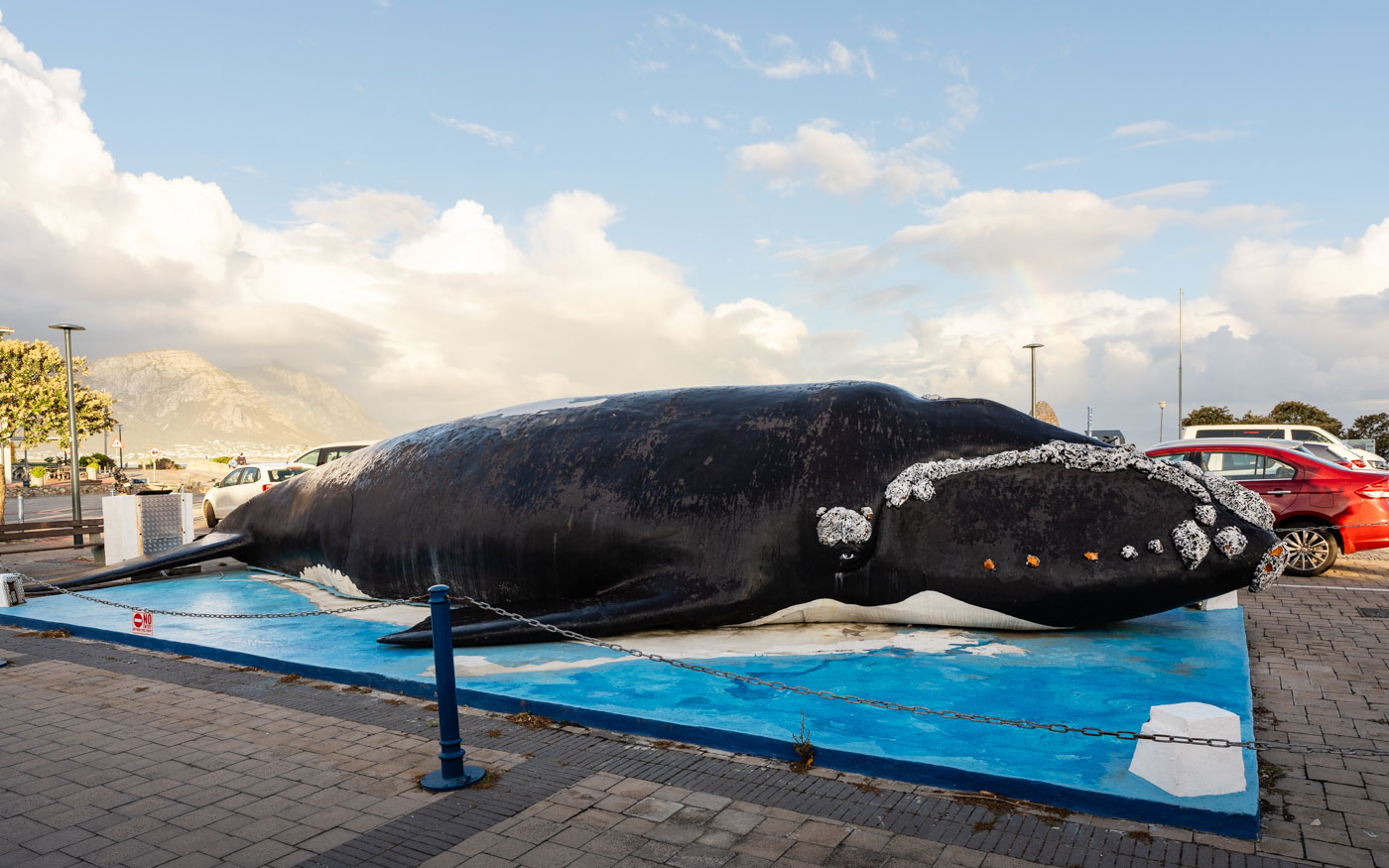 Hermanus Südafrika: Unsere persönlichen Tipps + Highlights