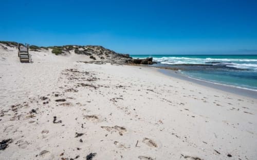 De Hoop Nature Reserve - Geheimtipp auf dem Weg zur Garden Route in ...